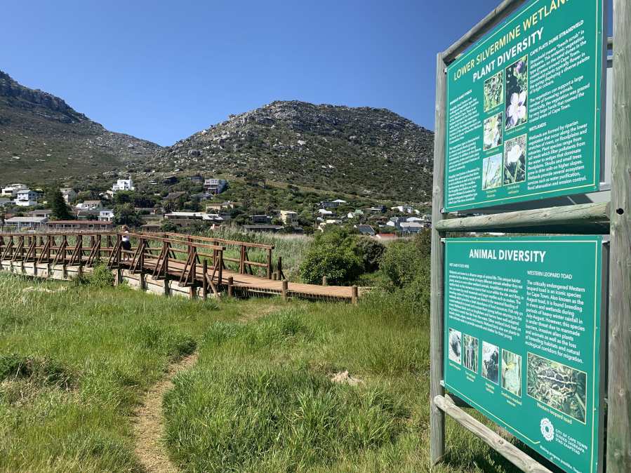 93 Things to do for Free in Cape Town – Nikkidiscovers