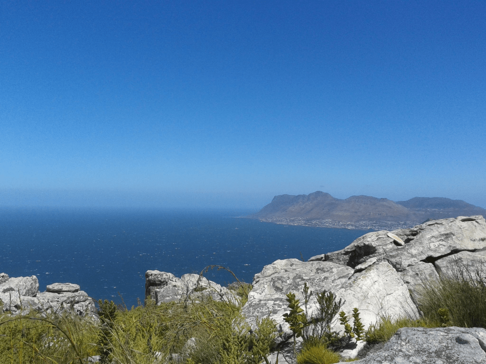 Discovering the Charm of Muizenberg: A Complete Guide – Nikkidiscovers
