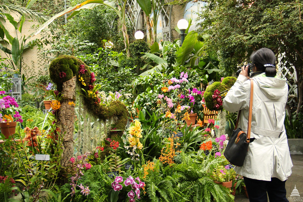11 Beautiful Virtual Garden Tours – Nikkidiscovers