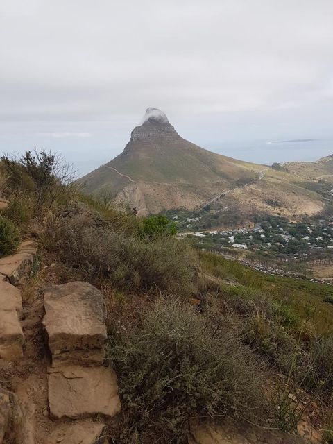 A Guide to Hiking Kloof Corner in Cape Town – Nikkidiscovers
