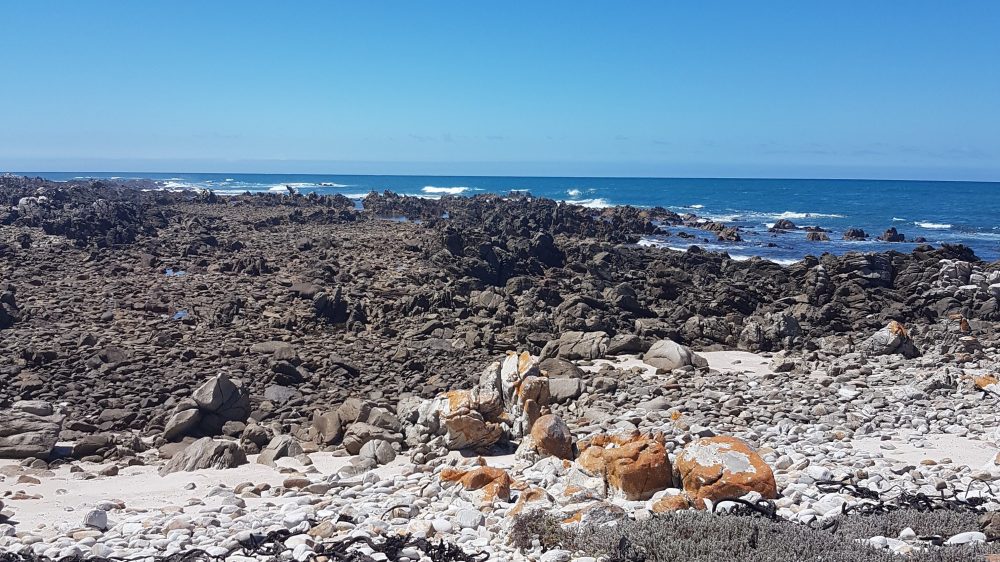How to Plan Your Perfect Trip to Cape Agulhas – Nikkidiscovers
