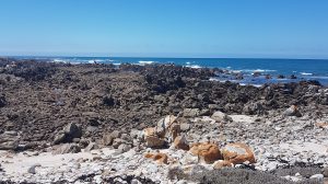 How to Plan Your Perfect Trip to Cape Agulhas – Nikkidiscovers